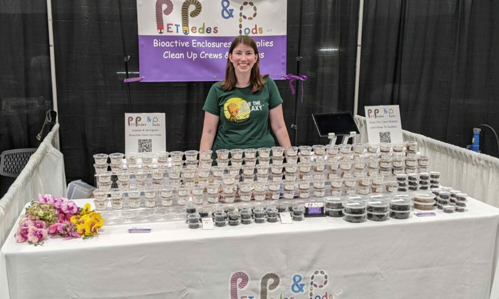 Exploring Life & Business with Rachel Schindler of Pet Pedes and Pods ...