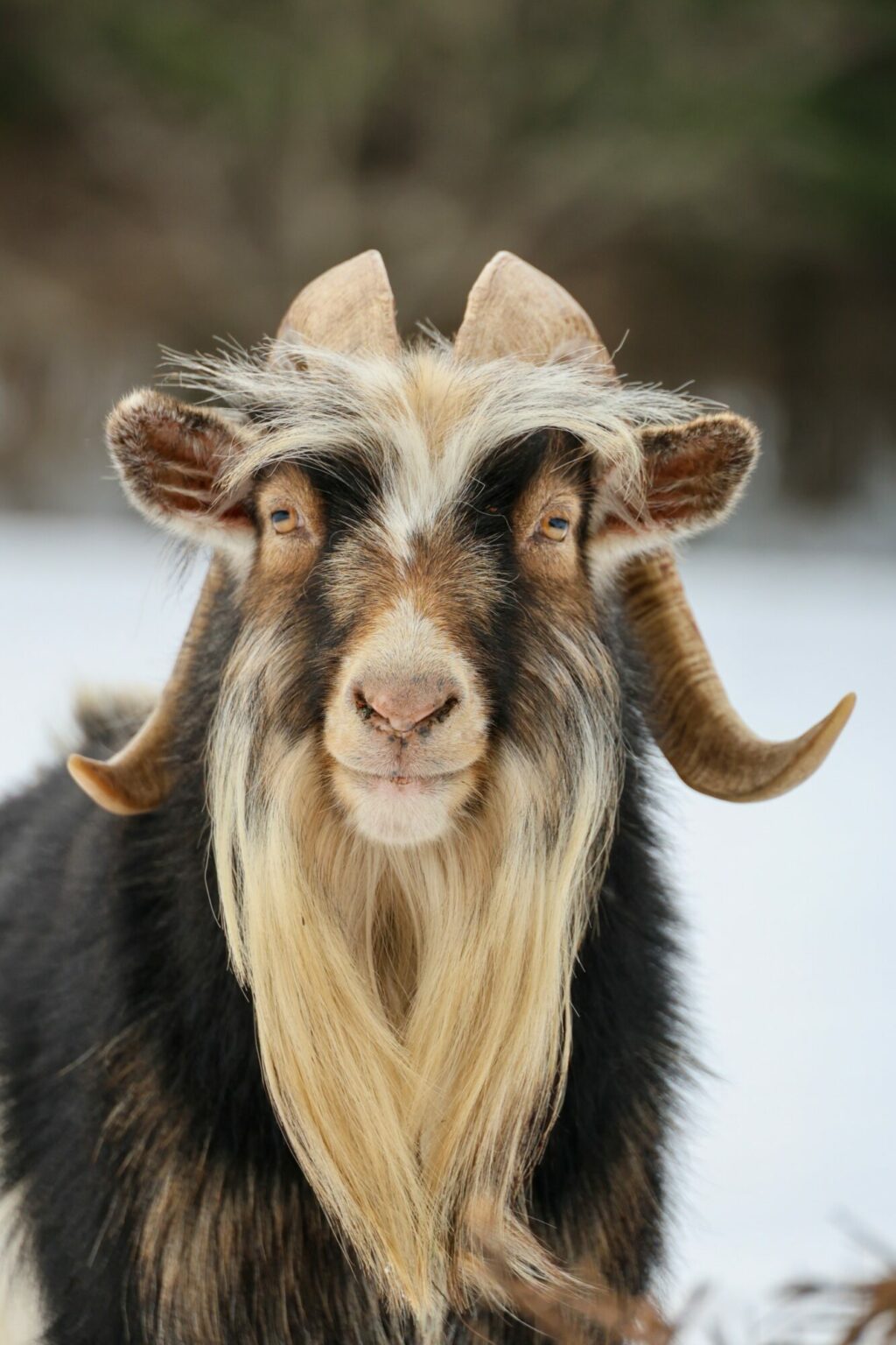 Check Out Liz Maselli’s Story - Voyage Ohio Magazine