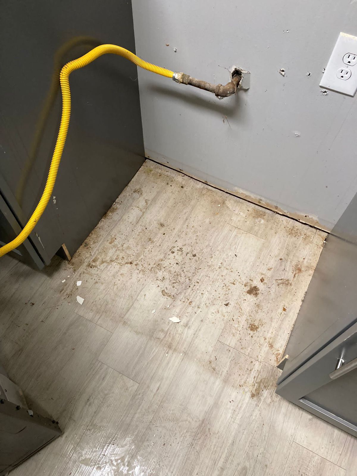 Hidden Gems: Meet Roberta Franke of Pro Shine Cleaning – Voyage Ohio ...