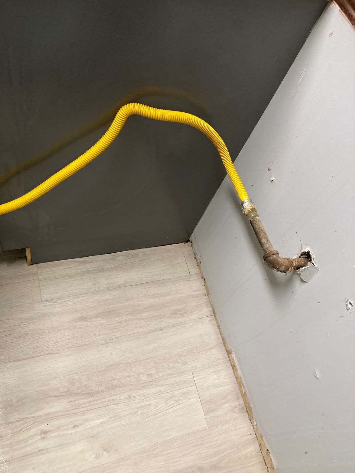 Hidden Gems: Meet Roberta Franke of Pro Shine Cleaning - Voyage Ohio ...