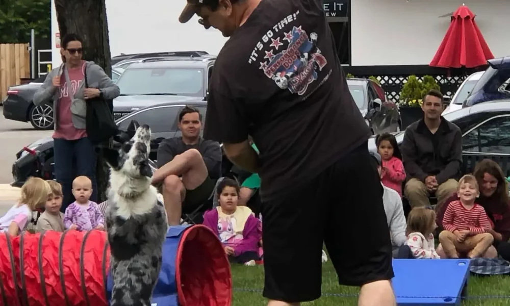 Life, Values & Legacy: Our Chat with Wesley Ryan of Columbus - Voyage ...