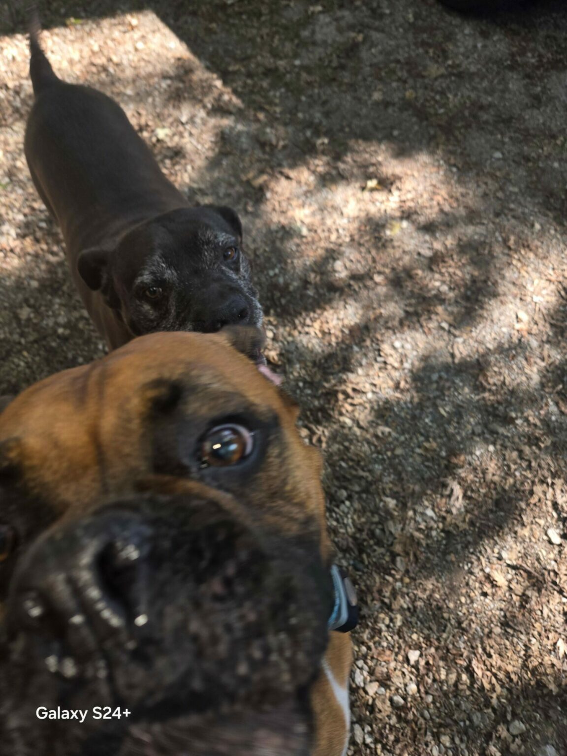 Check Out Amber Bergman’s Story - Voyage Ohio Magazine