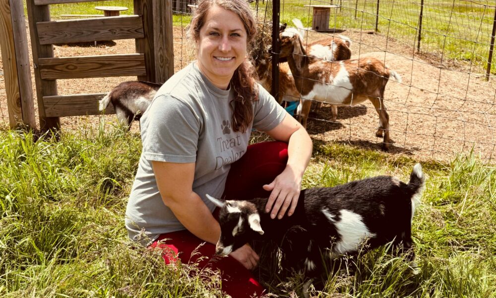 Meet Alison Dodd of Ali’s Ark All Species Pet Care – Voyage Ohio Magazine