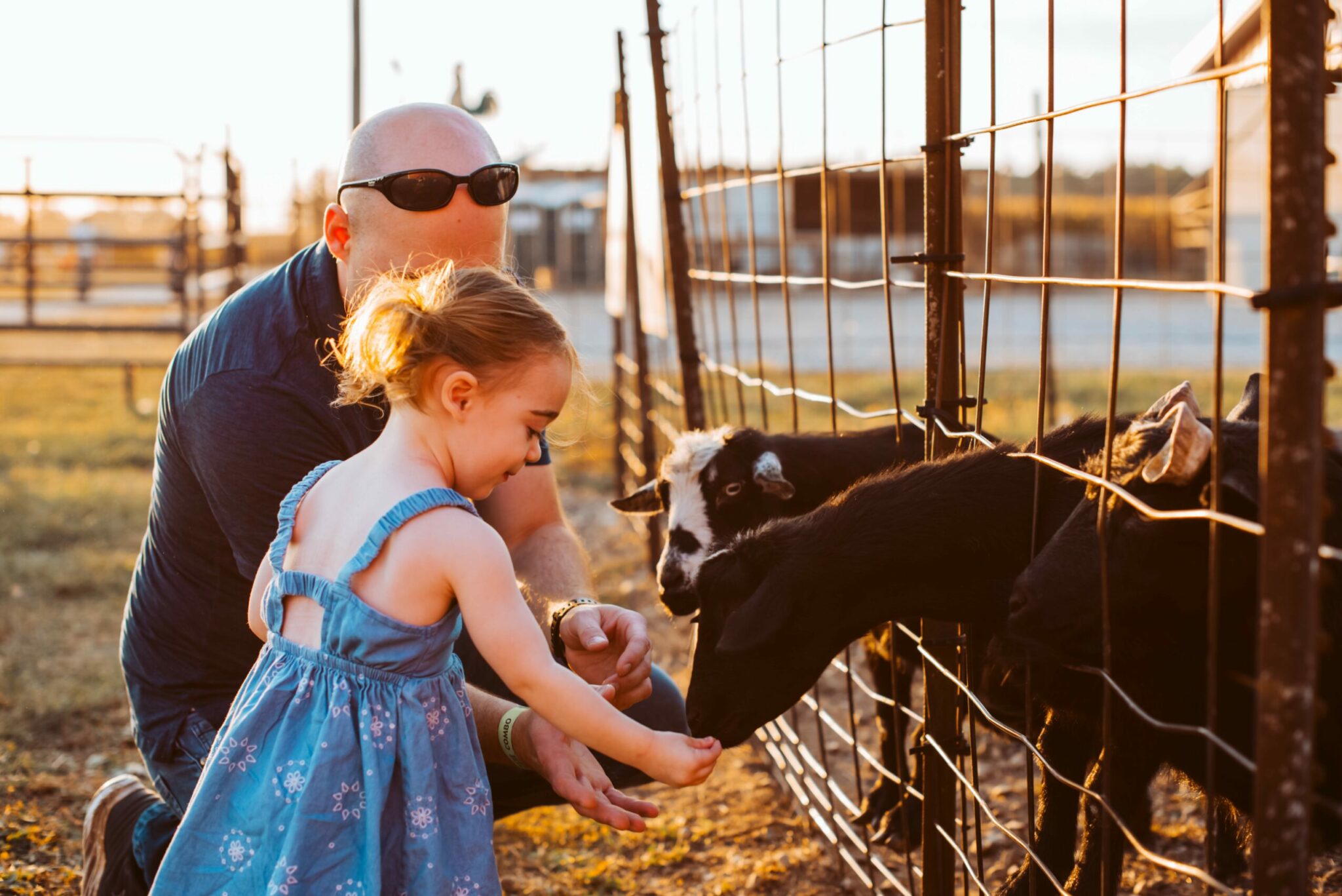 Community Highlights: Meet The Rausch Family of The MAiZE at Little ...